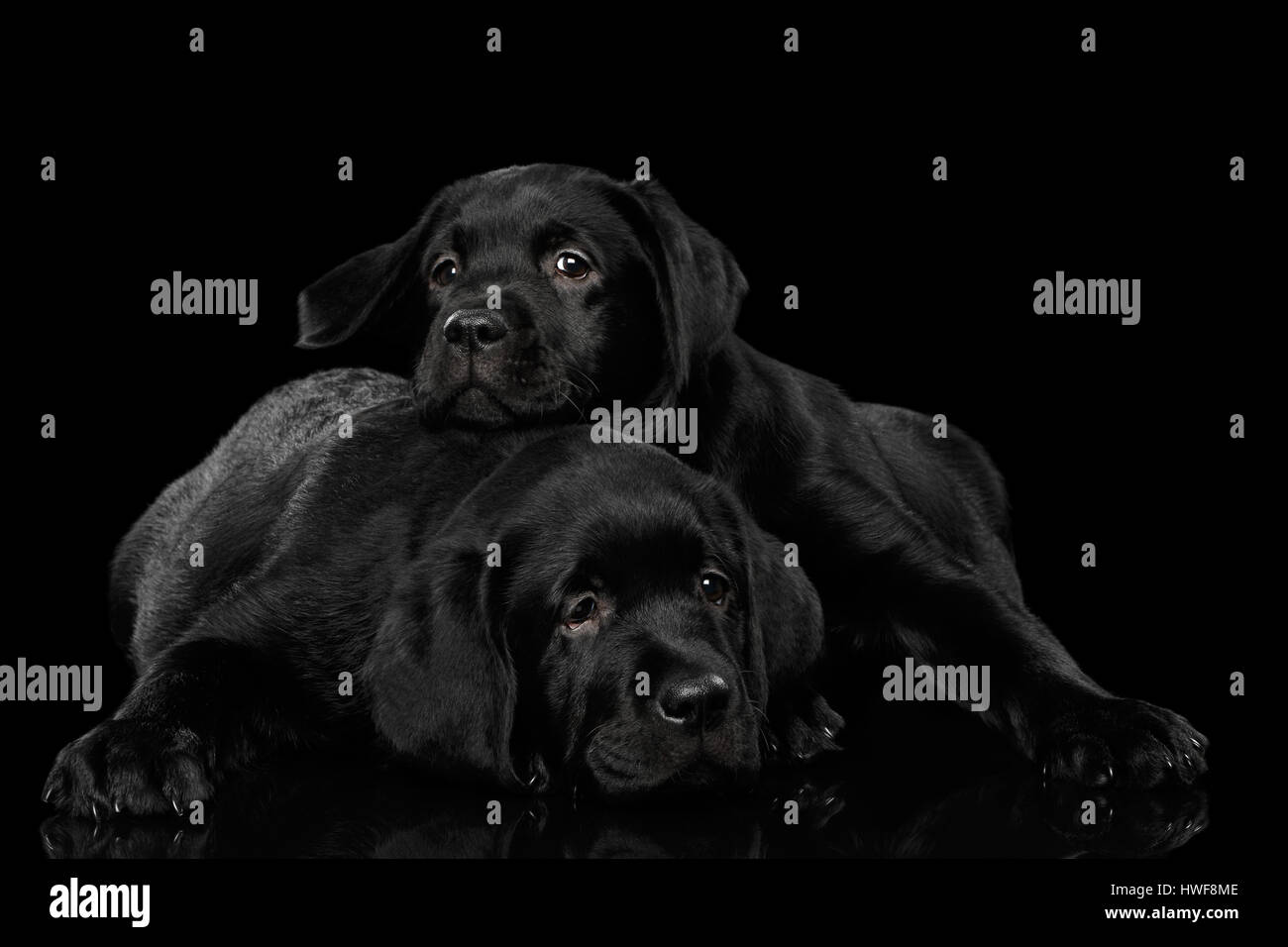 Two young brothers lying on hi-res stock photography and images - Alamy