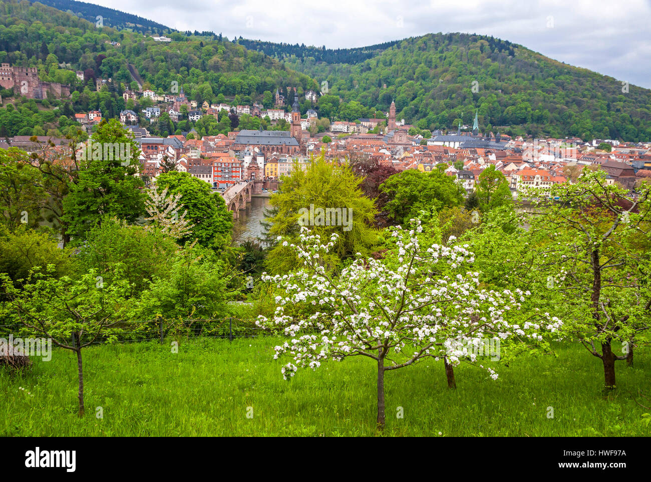 Heidelberg city in spring. View from Philosophenweg. Heildelberg old ...