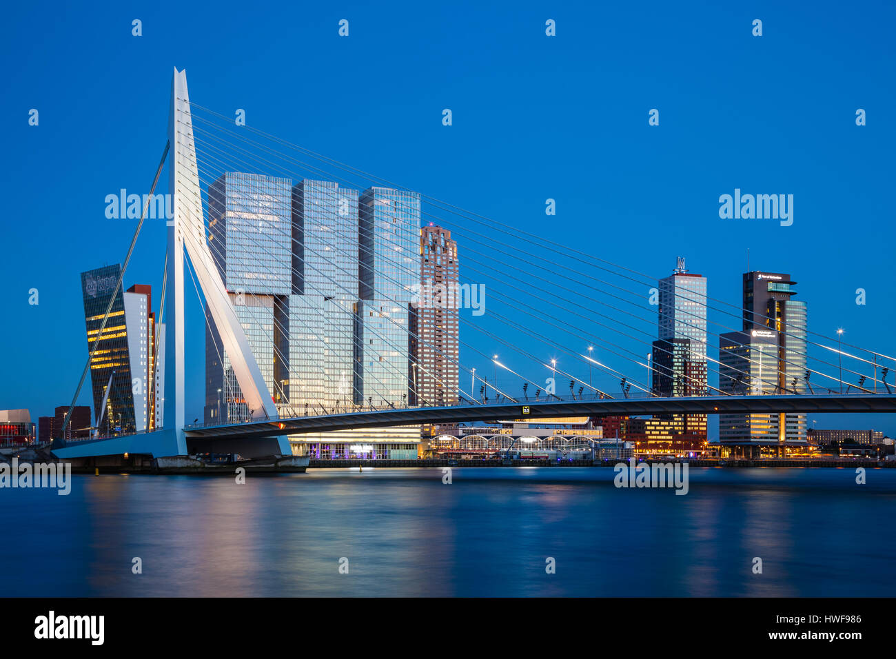 Erasmus Bridge, Rotterdam, Netherlands Stock Photo - Alamy