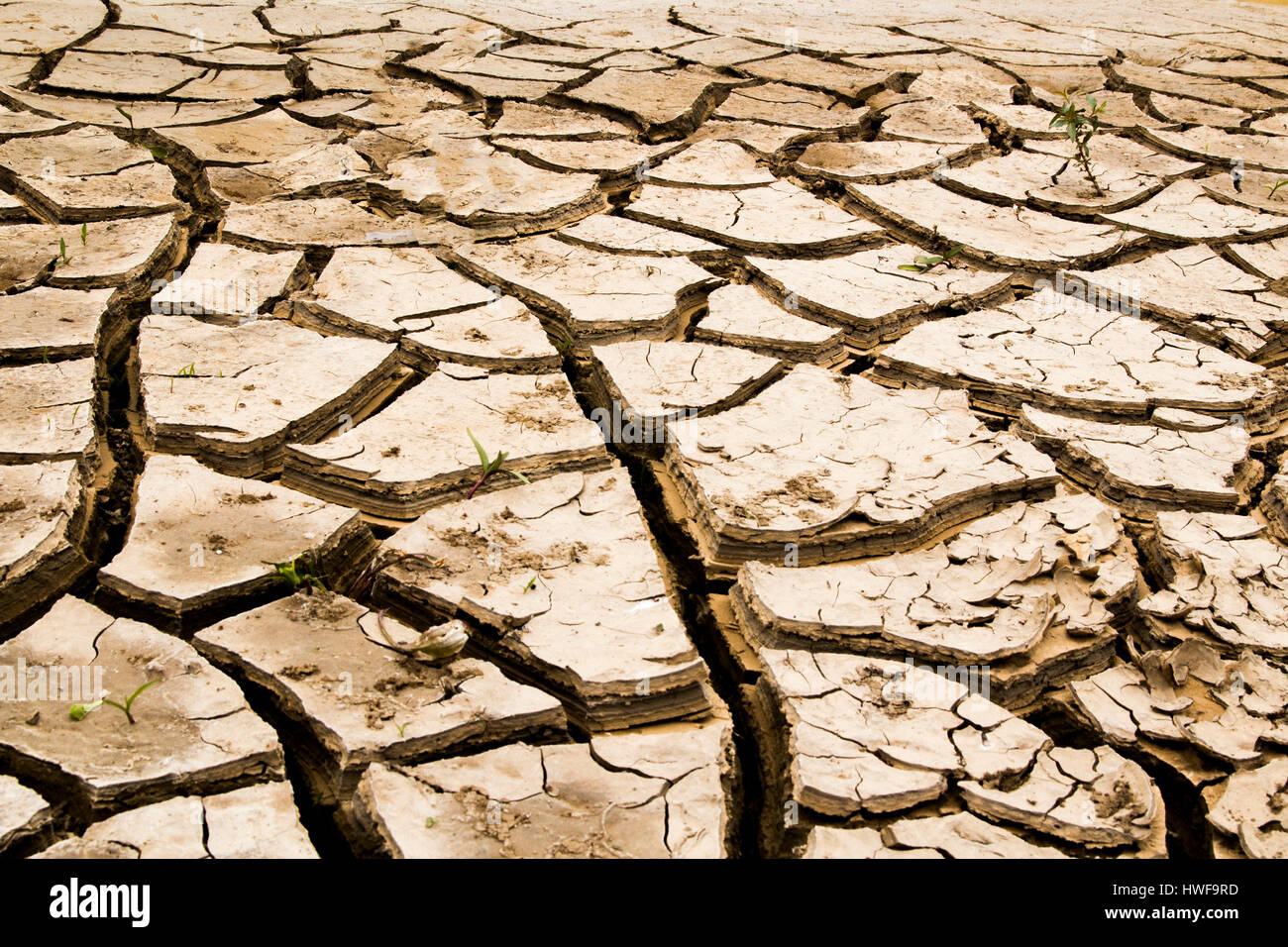 Land with dry ground. Disaster Stock Photo - Alamy