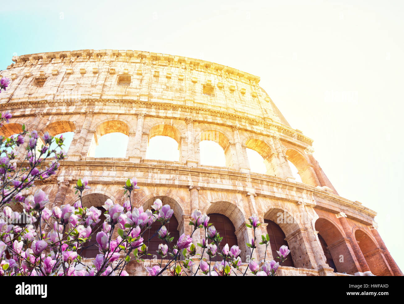 Roman colosseum flowers hi-res stock photography and images - Alamy