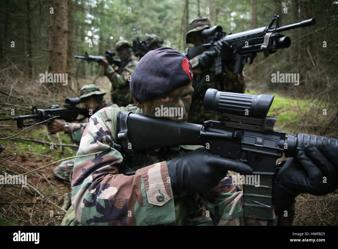 military drill of thye dutch army Stock Photo - Alamy