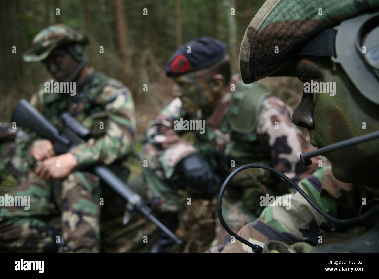 military drill of thye dutch army Stock Photo - Alamy