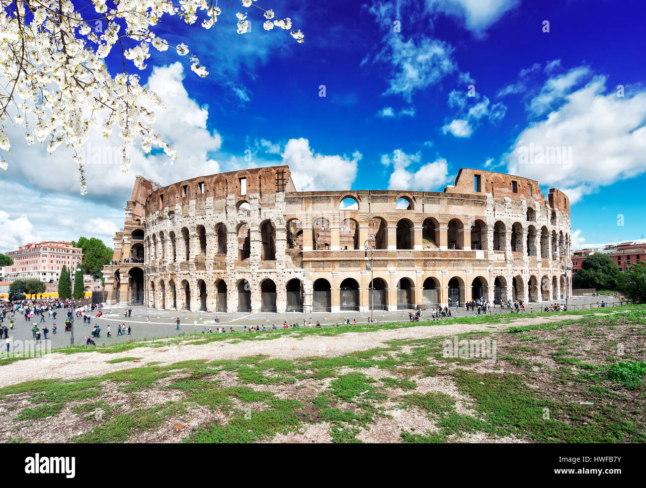 Roman colosseum, flowers hi-res stock photography and images - Alamy