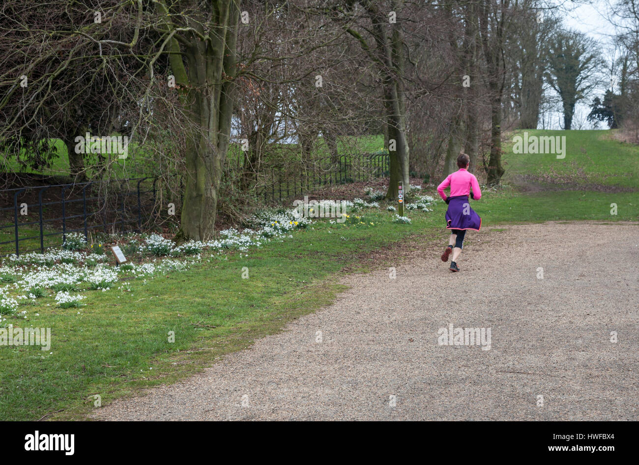 A female jogging in Hardwick Park,Sedgefield,Co.Durham, England,UK ...
