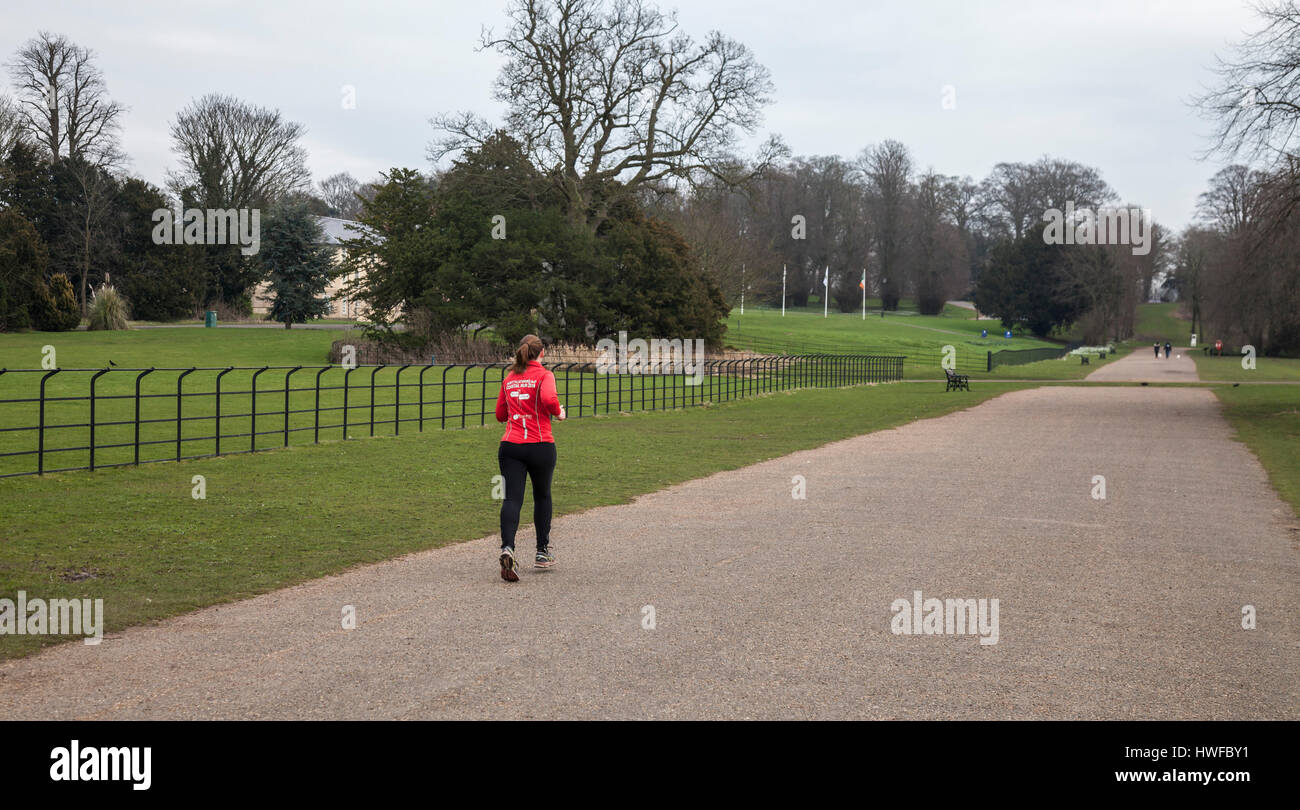 Hardwick park durham hi-res stock photography and images - Alamy
