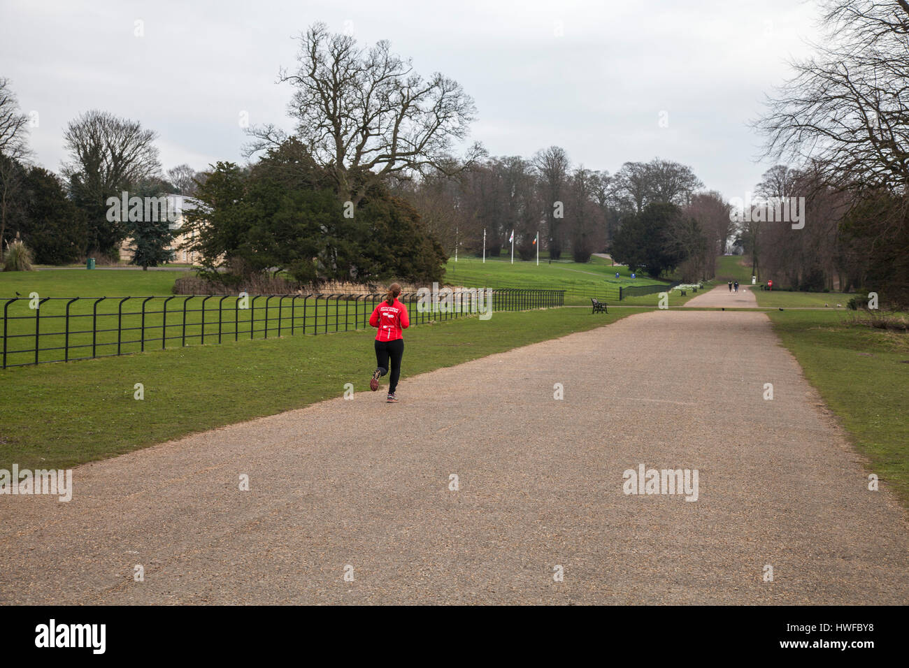 A female jogging in Hardwick Park,Sedgefield,Co.Durham, England,UK ...