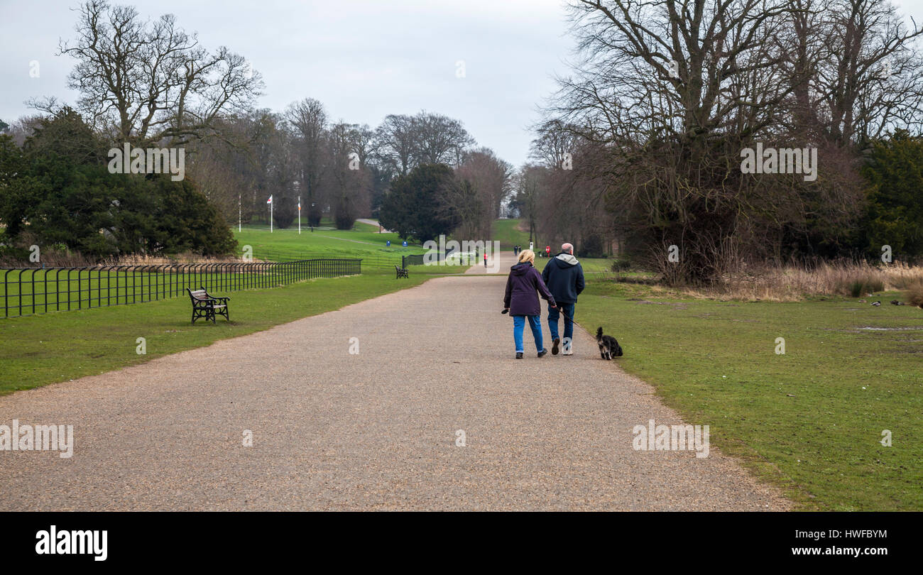A Mature Couple Walking Their Dog In Hardwick Park Sedgefield Co Durham