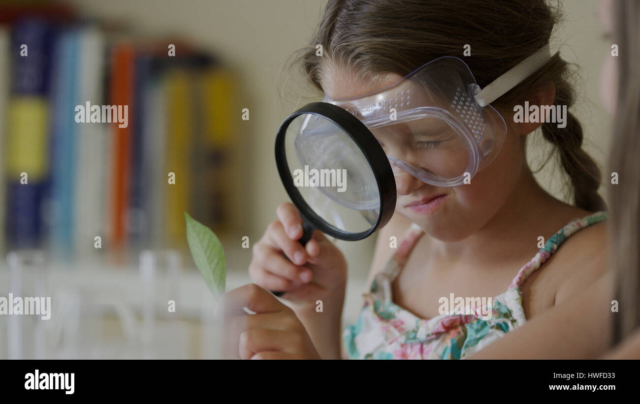 Curious girl examining leaf with magnifying glass in science laboratory ...