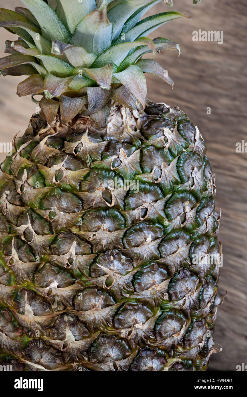 Pineapple Skin Stock Photos & Pineapple Skin Stock Images - Alamy