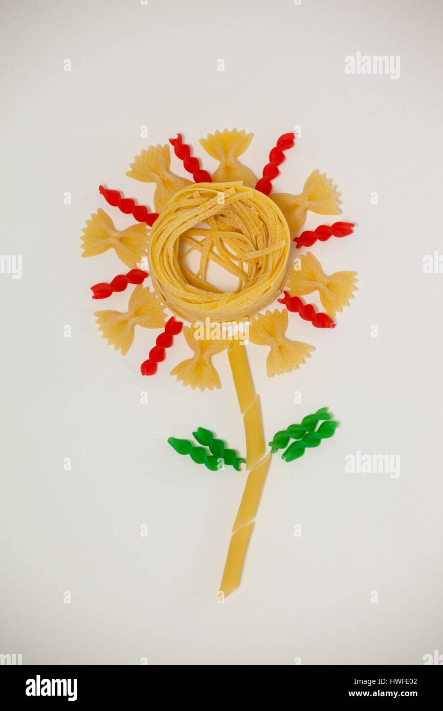 Varieties of pasta making a flower on white background Stock Photo - Alamy