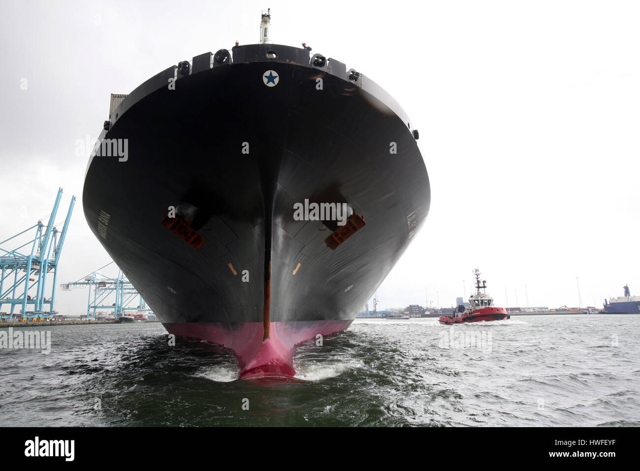 tugboat at work in rotterdam harbor Stock Photo - Alamy