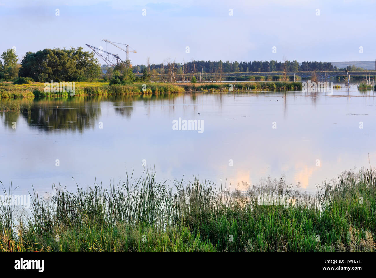Evening summer lake landscape with plants reflections on water surface ...