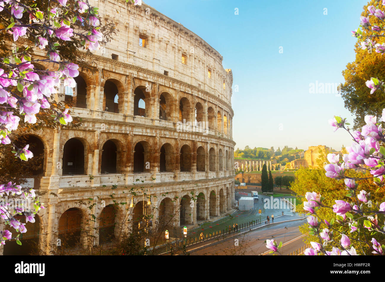 Roman colosseum flowers hi-res stock photography and images - Alamy