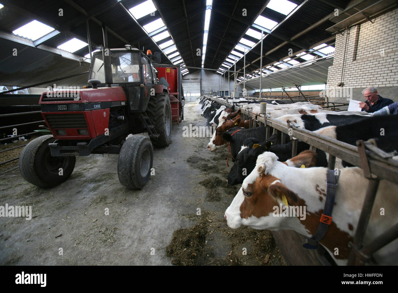 veterinarian at work at a farm Stock Photo - Alamy