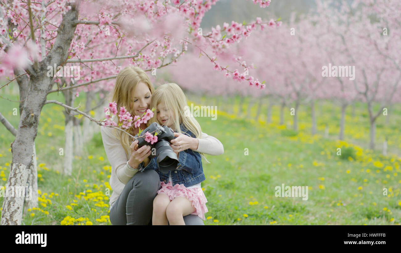 Mother and daughter trees hi-res stock photography and images - Alamy