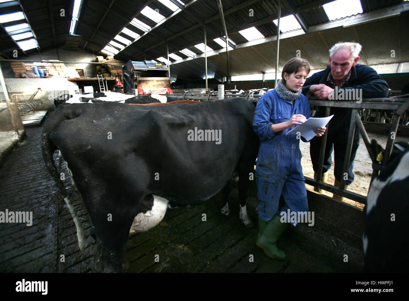 veterinarian at work at a farm Stock Photo - Alamy