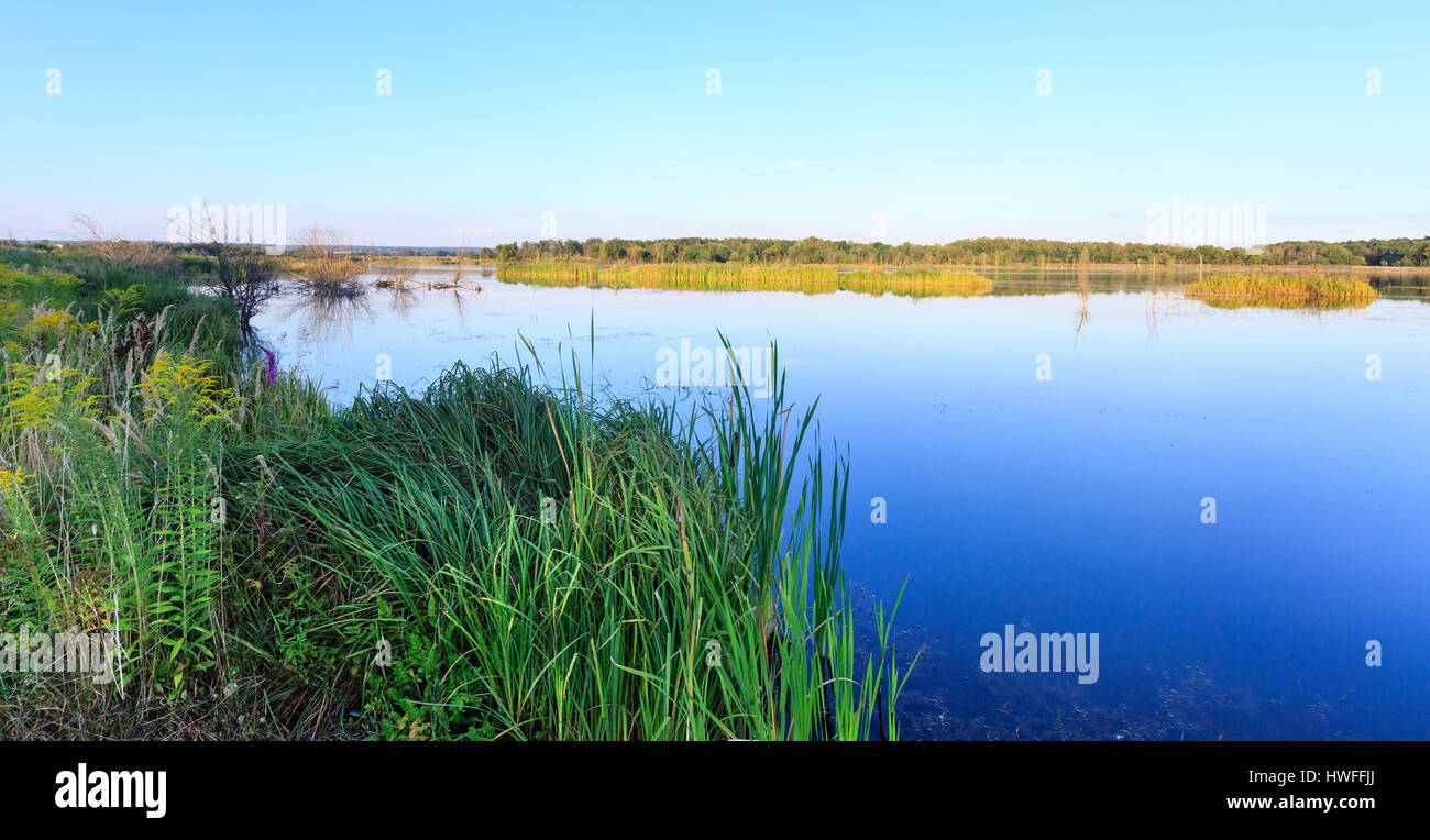 Evening summer lake landscape with plants reflections on water surface ...