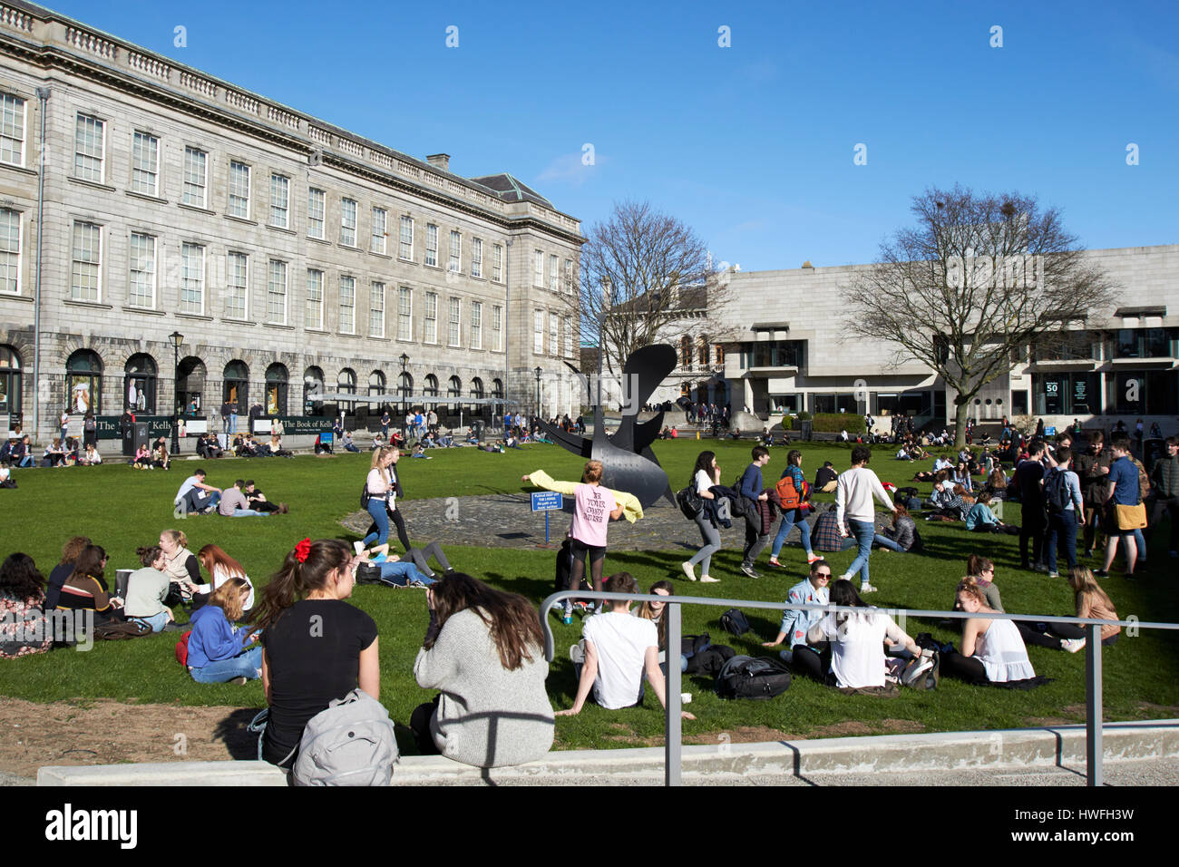 students sitting around in sunshine on fellows square trinity college ...
