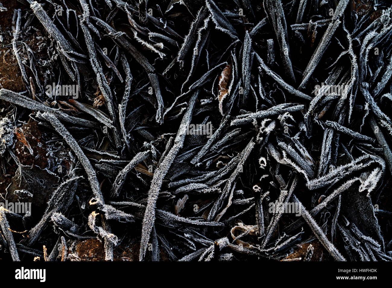 burning texture covered with frost,texture, black, covered with frost ...