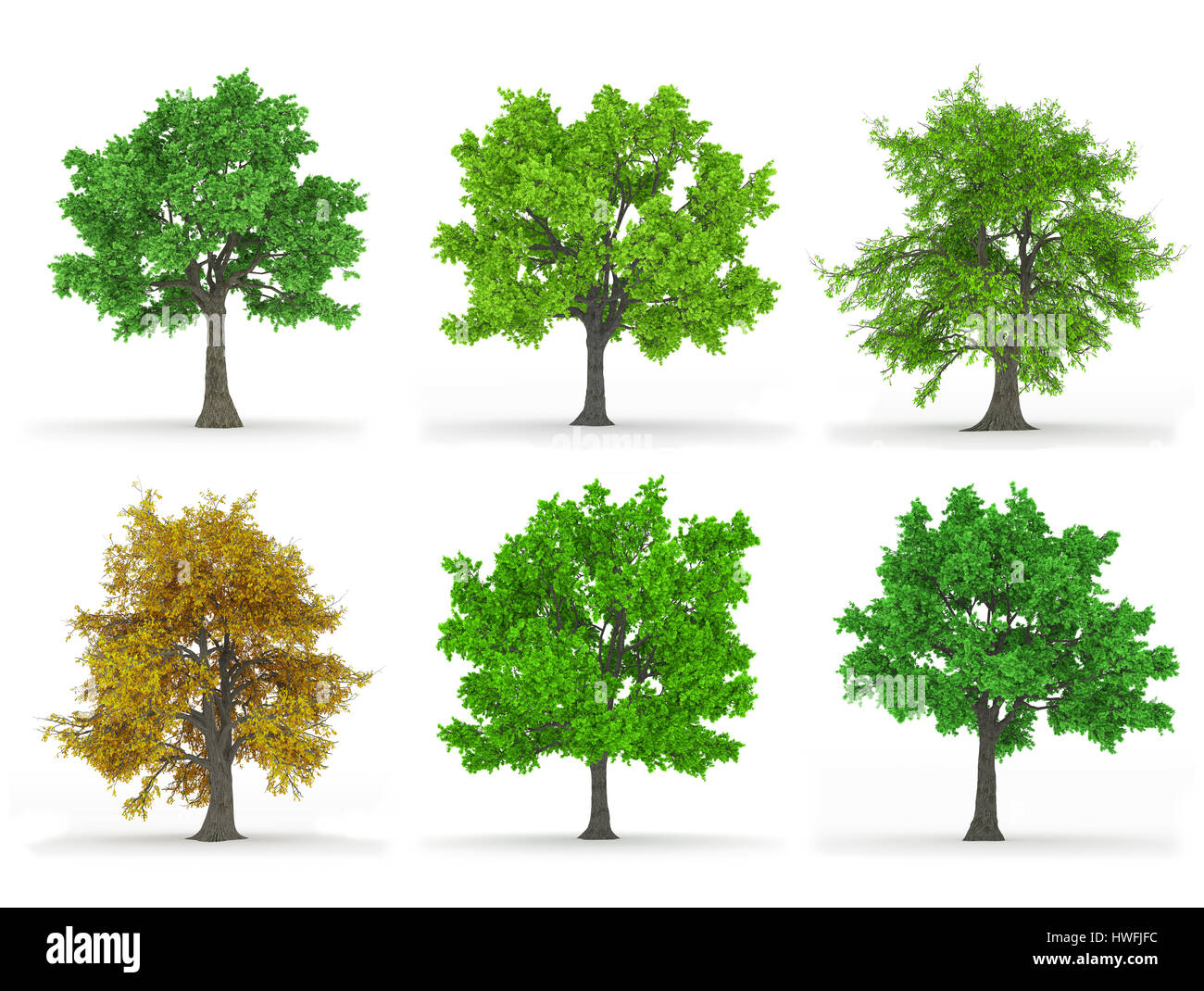 Trees collection green plants Cut Out Stock Images & Pictures - Alamy