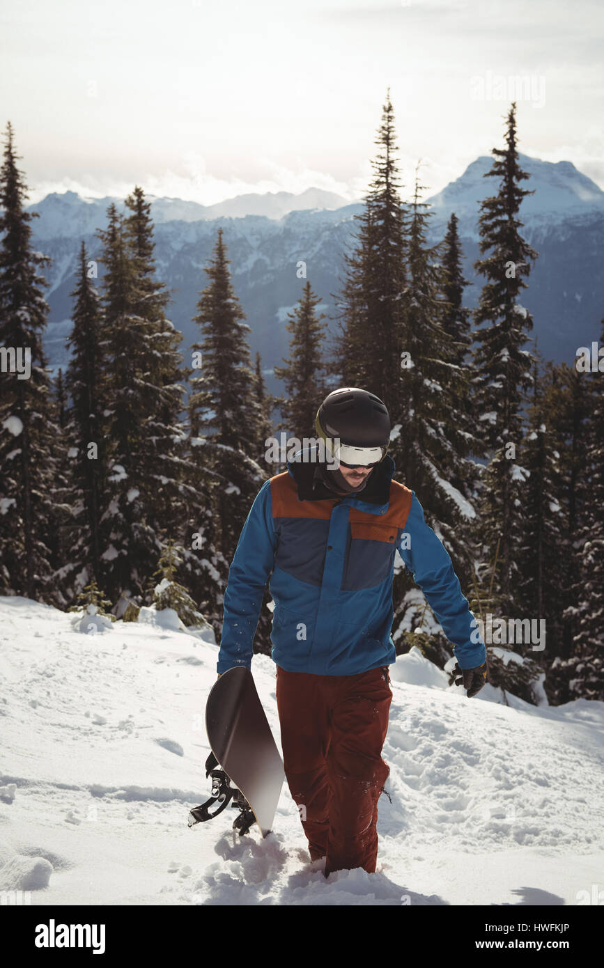 Trees touching the sky hi-res stock photography and images - Alamy