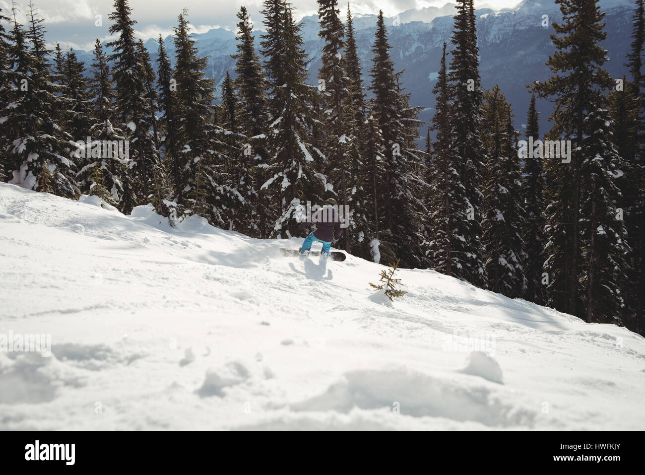 Person snowboarding on mountain against trees during winter Stock Photo ...