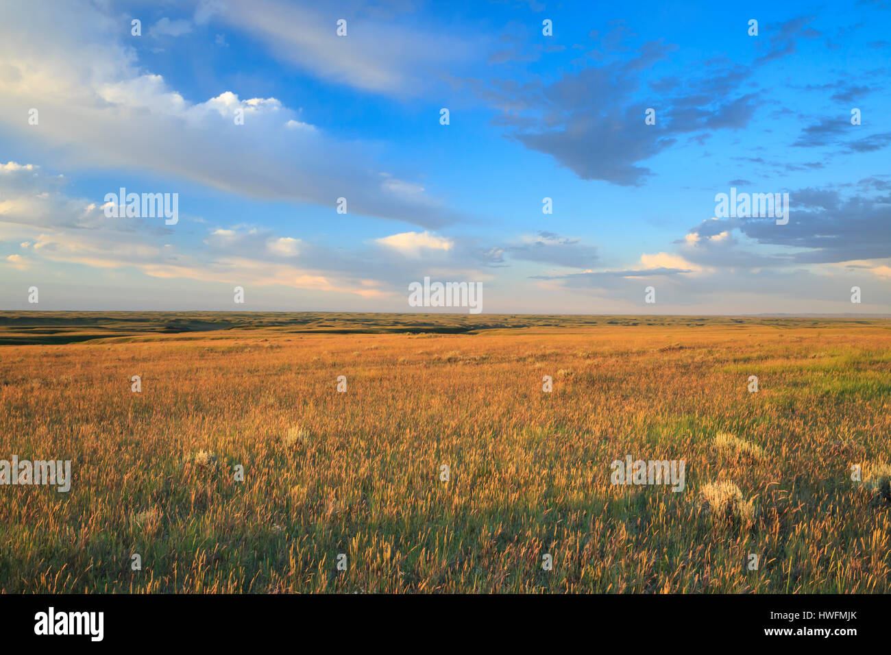 vast prairie in phillips county north of fort peck lake near zortman ...