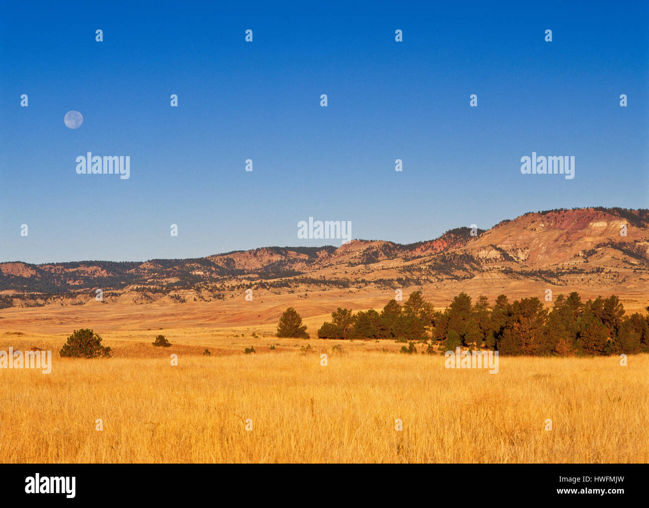 moon over the tongue river valley near ashland, montana Stock Photo - Alamy
