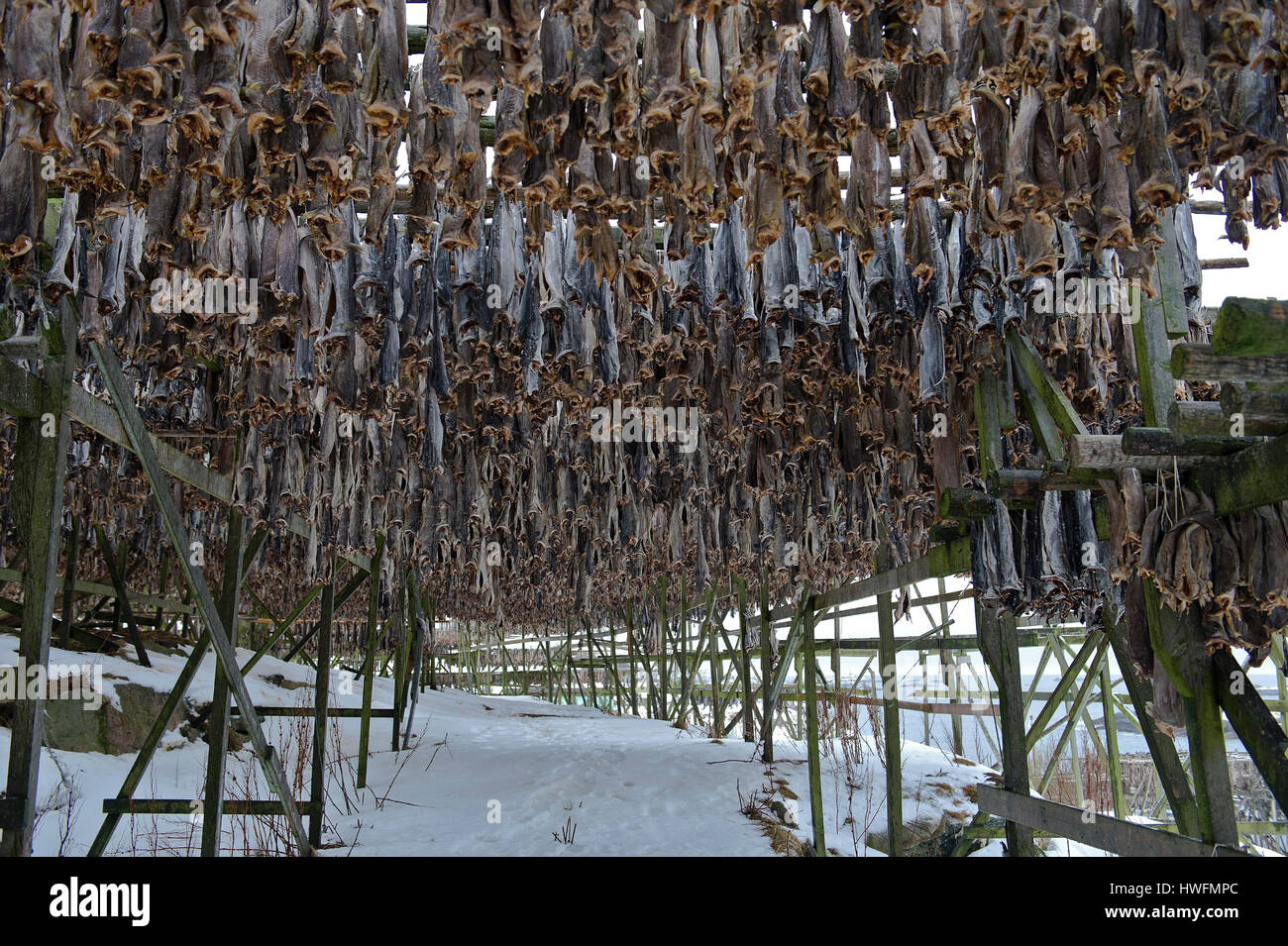 Racks for drying cod hi-res stock photography and images - Alamy