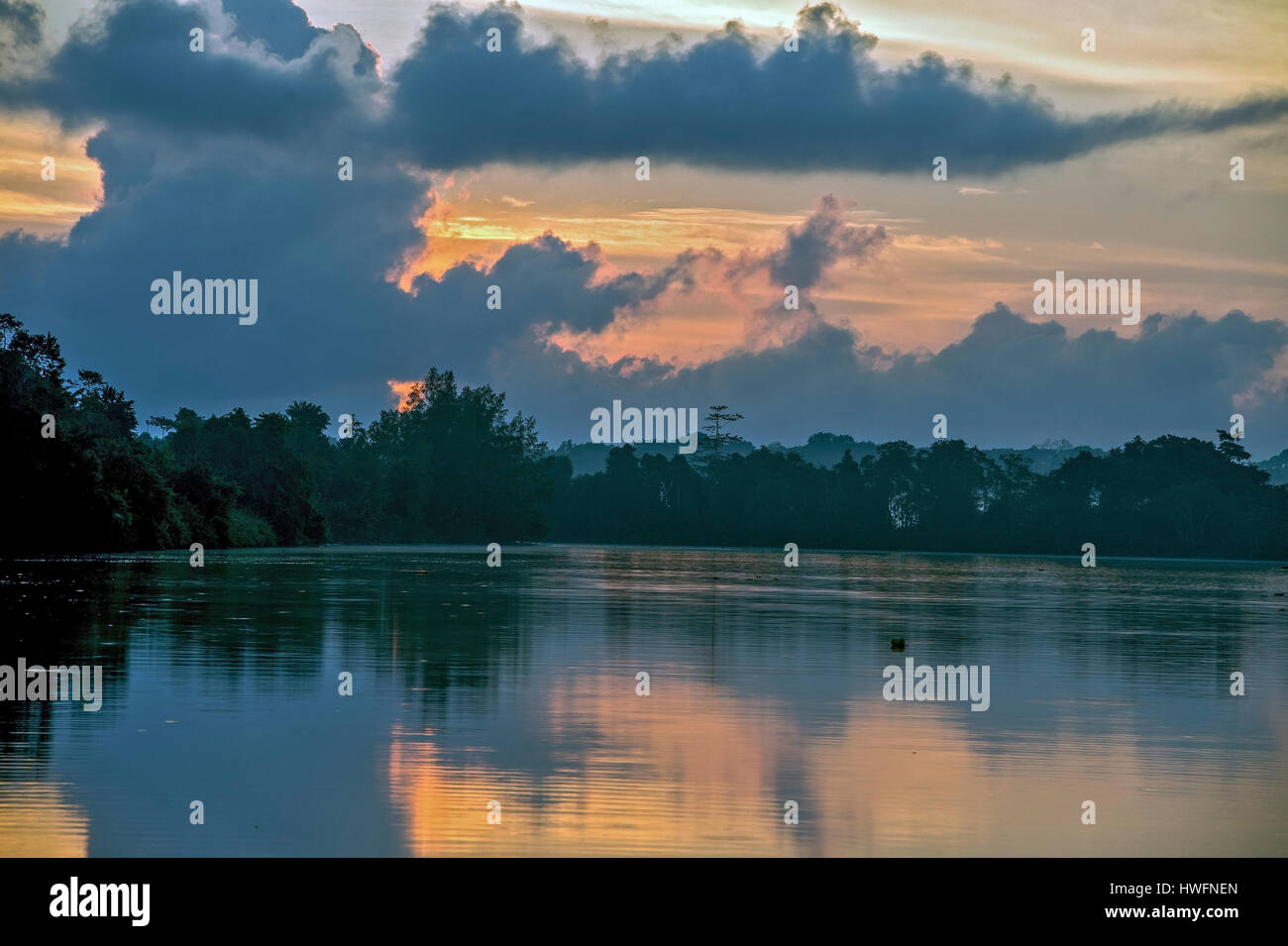 Morning on Kinabatangan River, Sabah, Borneo Stock Photo - Alamy
