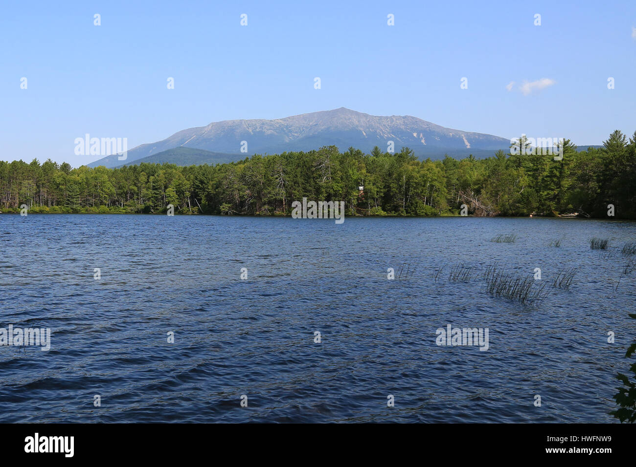 Jim Baxter High Resolution Stock Photography and Images - Alamy