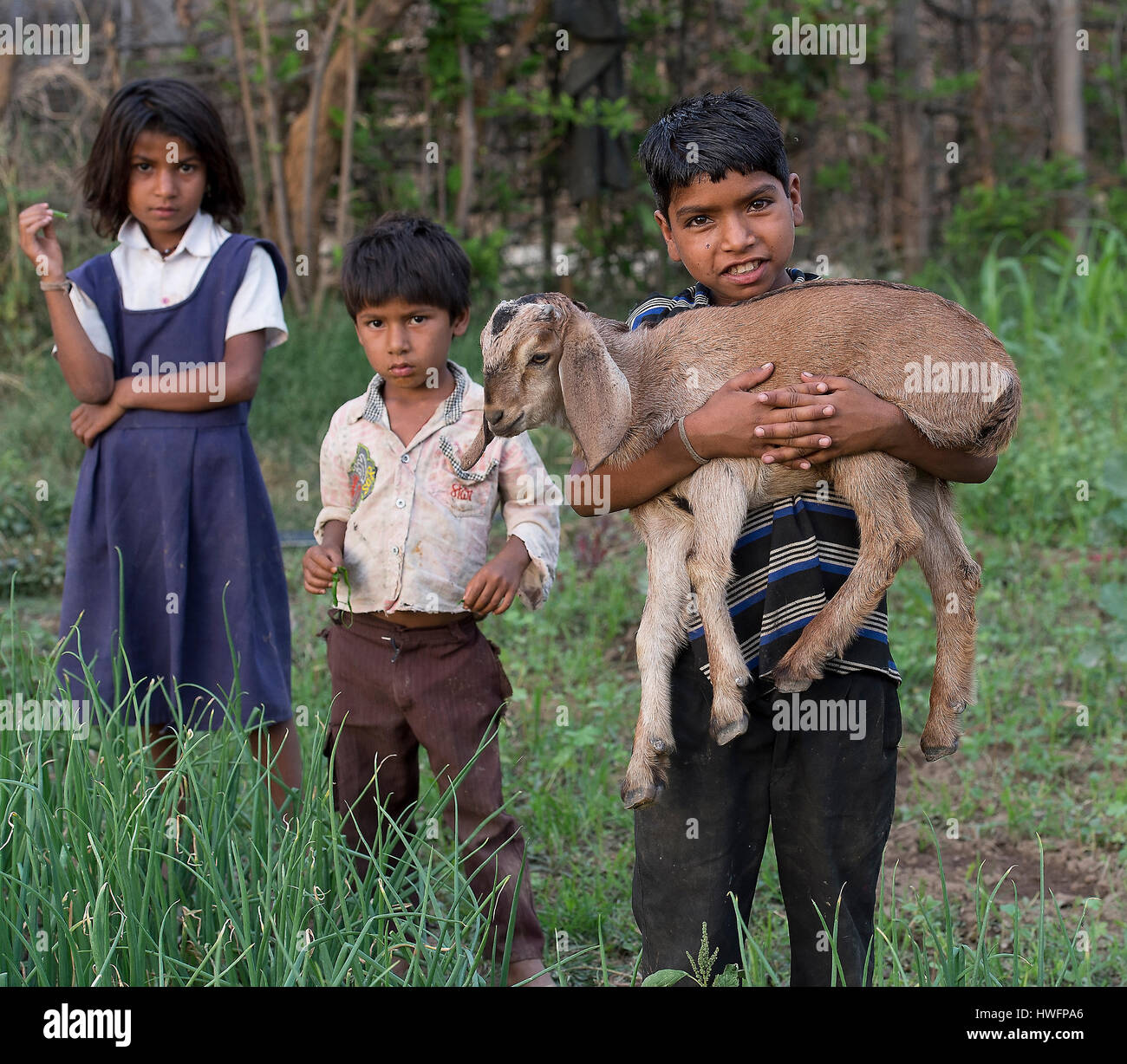 Boy with goat india hi-res stock photography and images - Alamy