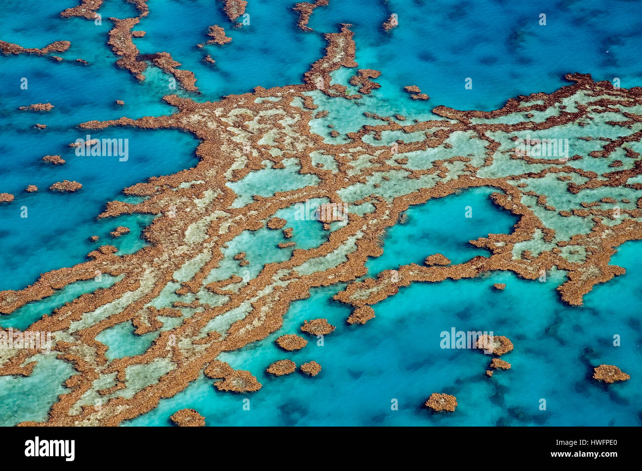 Reef structures, live corals (brown), shallow sand flats (light green ...