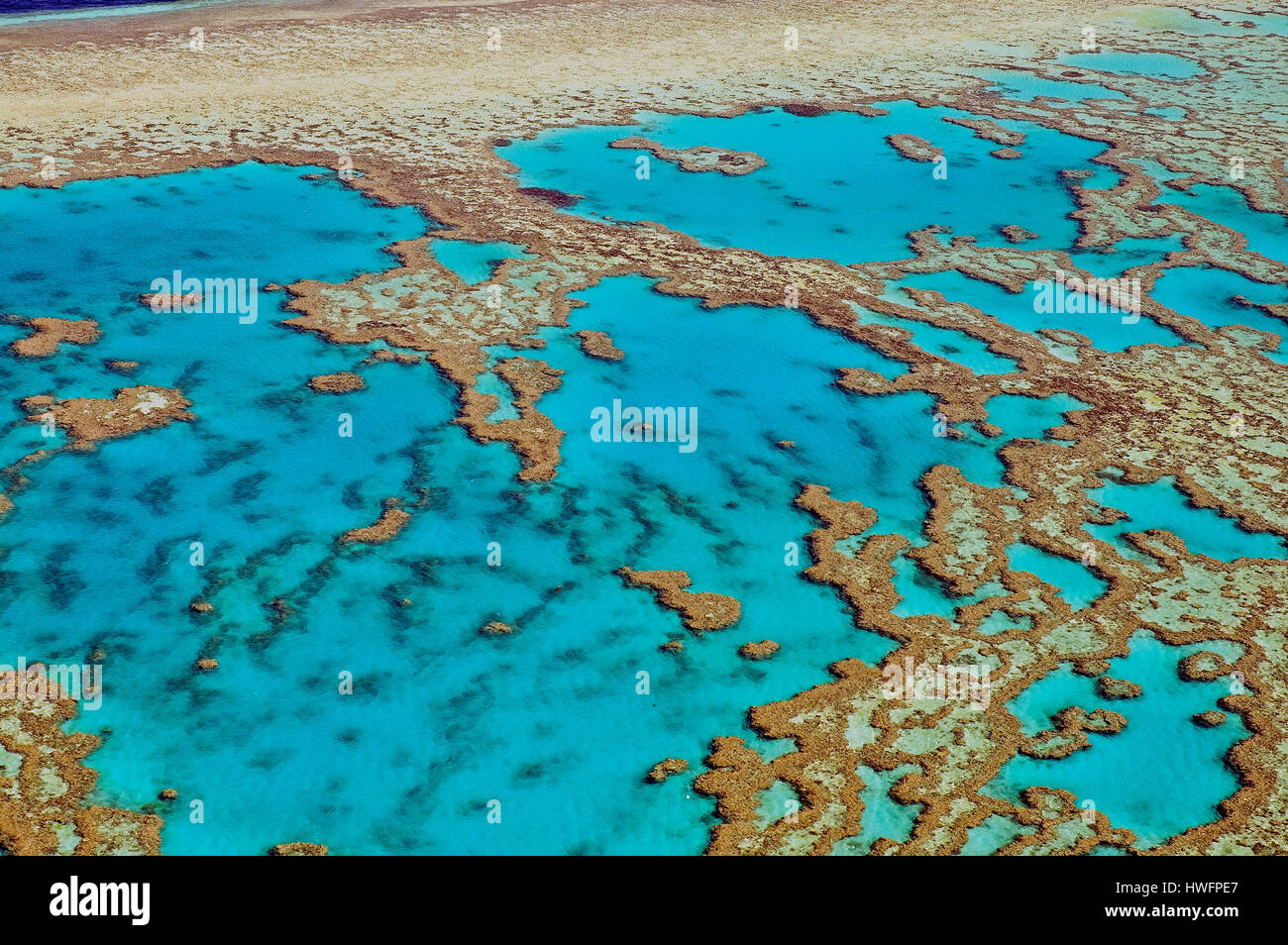 Australian reefs hi-res stock photography and images - Alamy