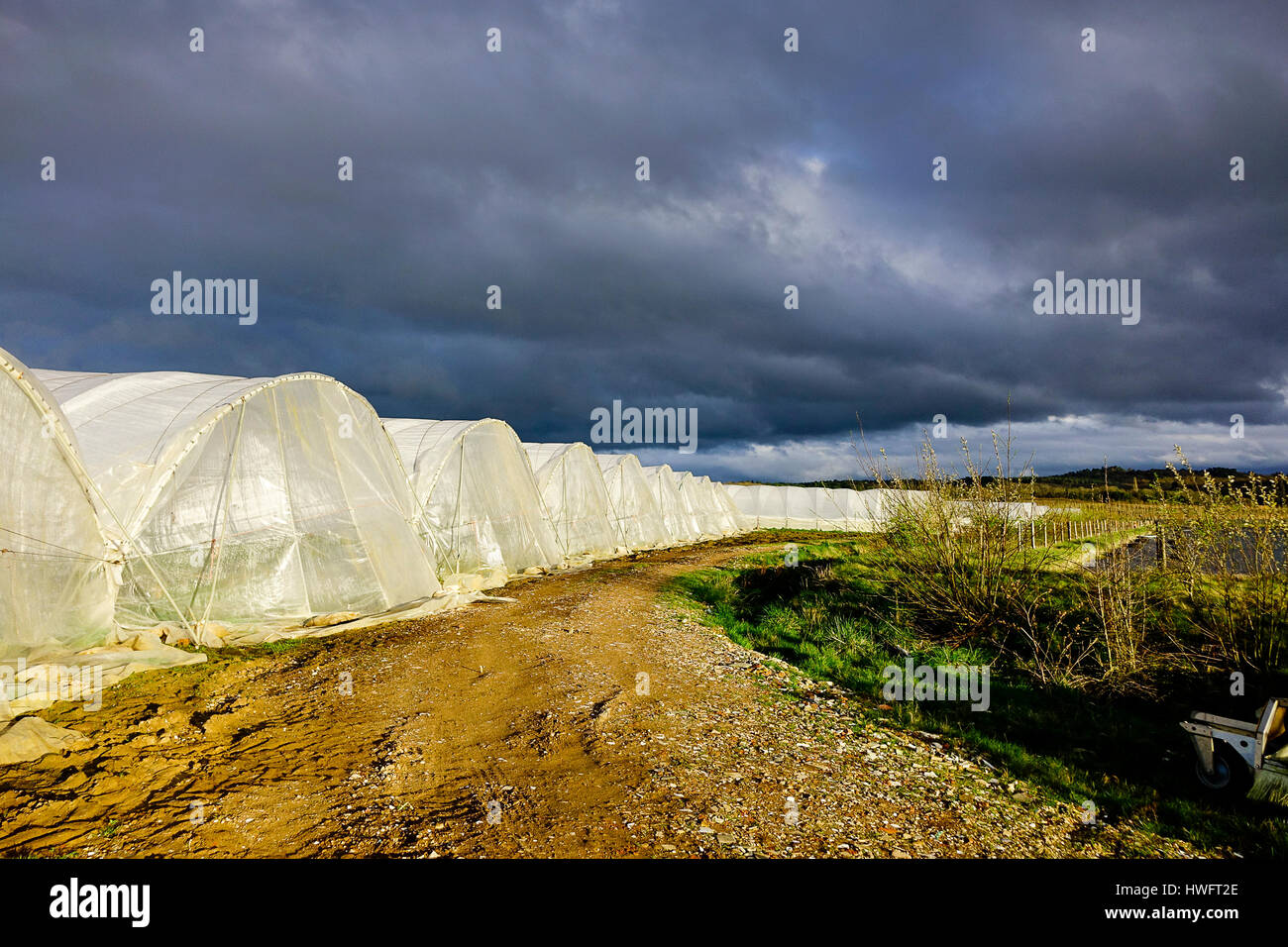 Tuesley Farm, Godalming. 20th March 2017. Low pressure conditions ...
