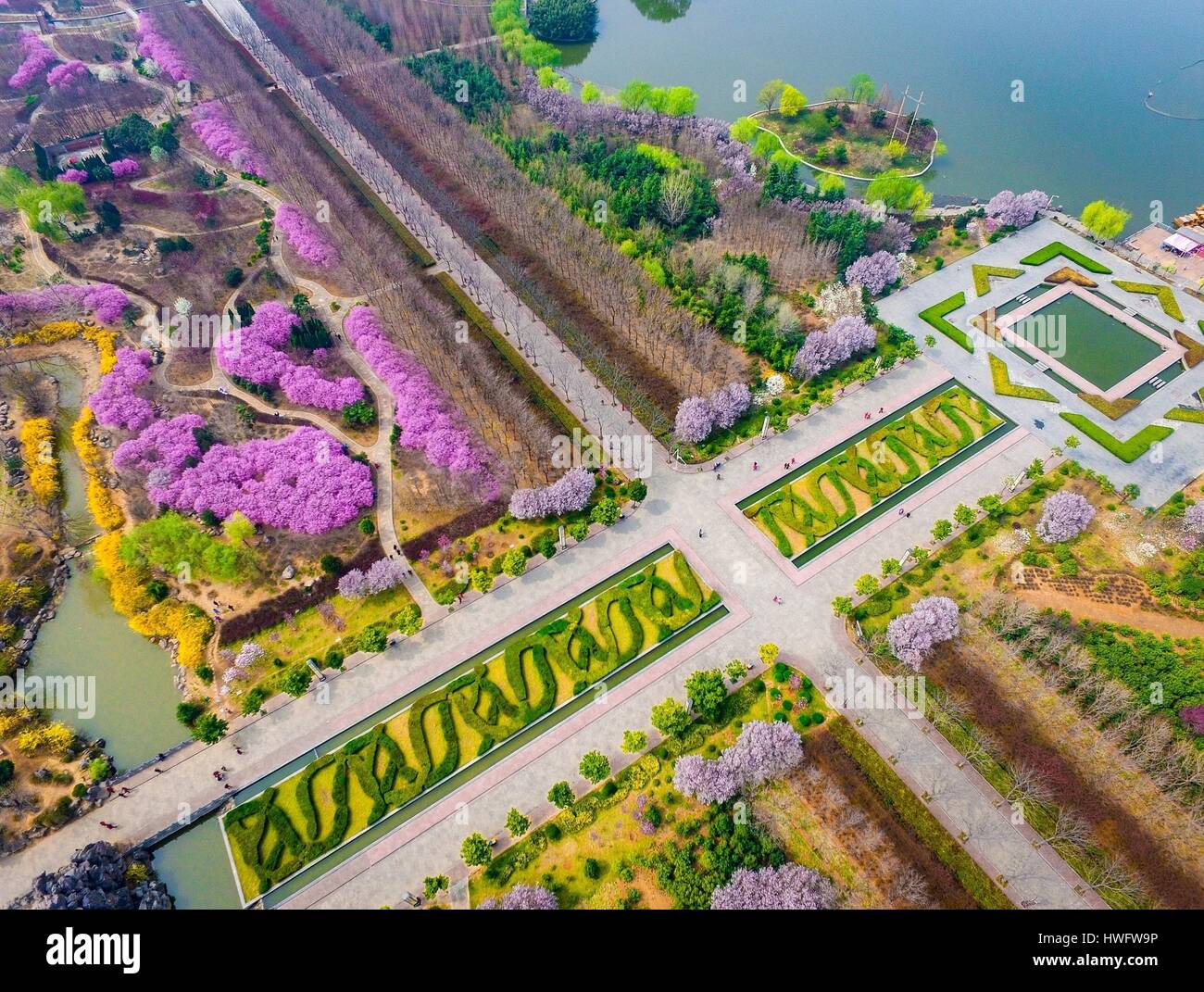 Luoyan, China. 20th Mar, 2017. Flowers bloom at the Sui and Tang ...