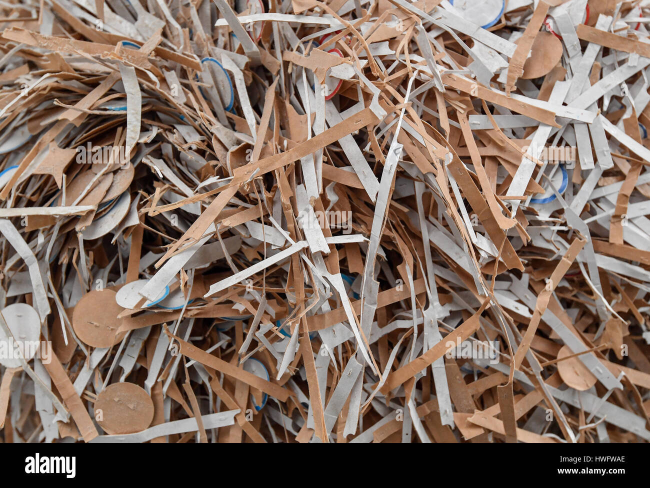 Guben, Germany. 7th Mar, 2017. Shredded carton can be seen in the ...