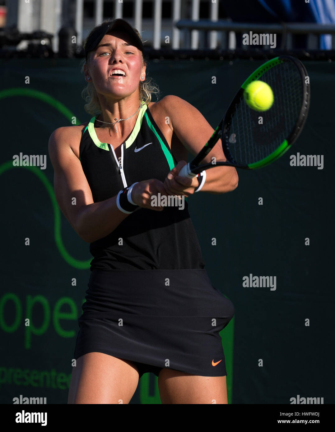 Sofya zhuk 2017 hi-res stock photography and images - Alamy