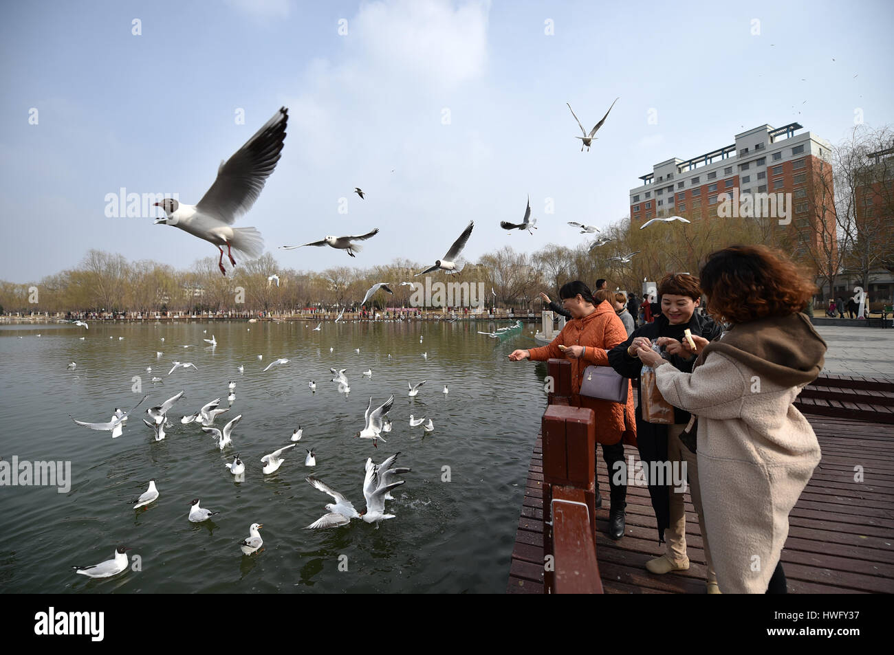 Yinchuan, China's Ningxia Hui Autonomous Region. 20th Mar, 2017 ...