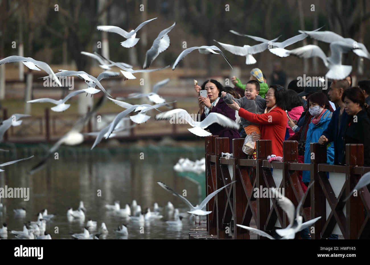 Yinchuan, China's Ningxia Hui Autonomous Region. 20th Mar, 2017 ...
