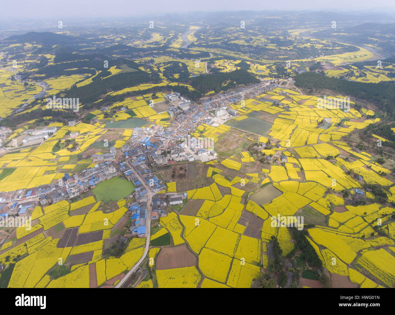 Chengdu, China. 20th Mar, 2017. Photo taken on March 20, 2017 shows the ...