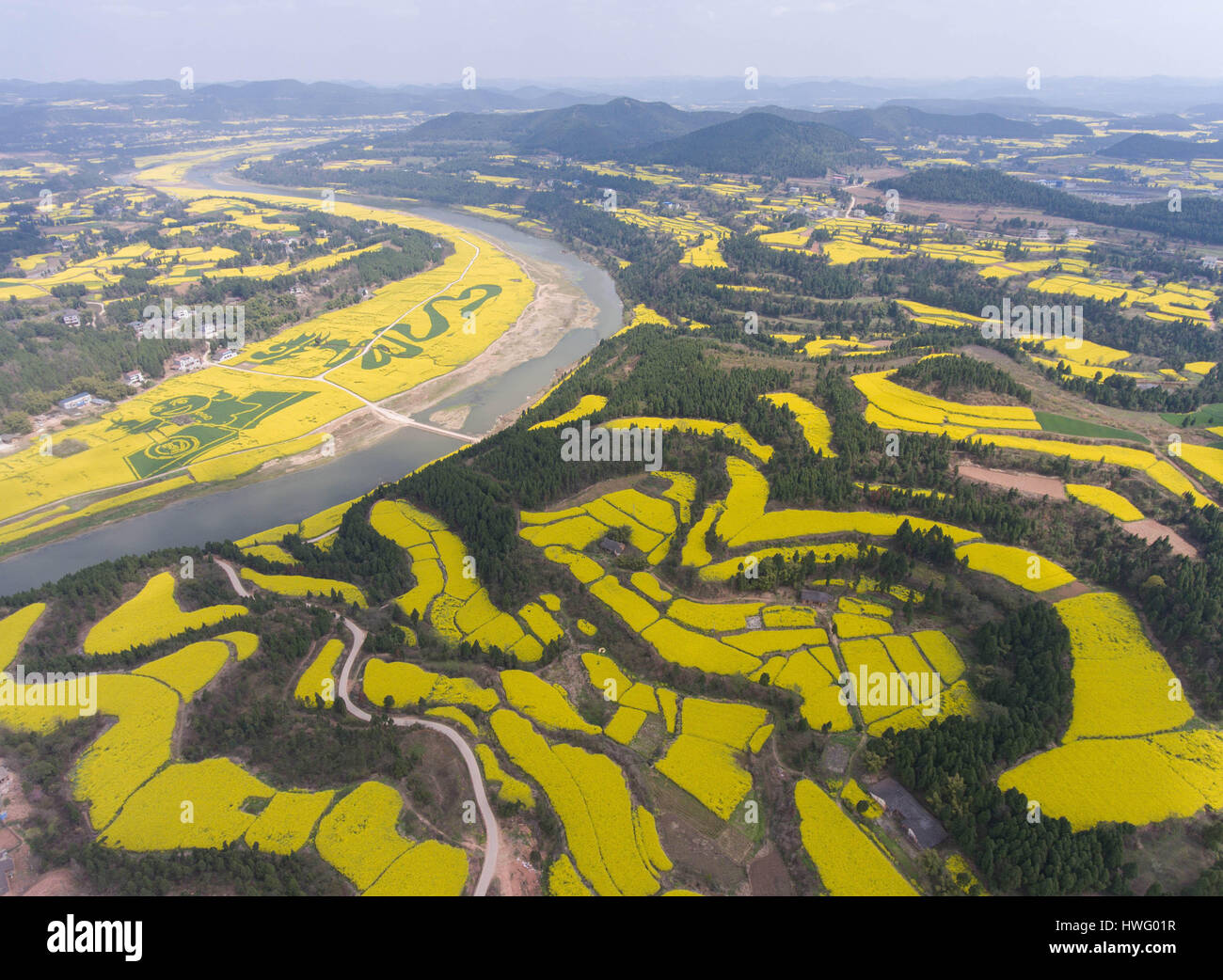 Chengdu, China. 20th Mar, 2017. Photo taken on March 20, 2017 shows the ...