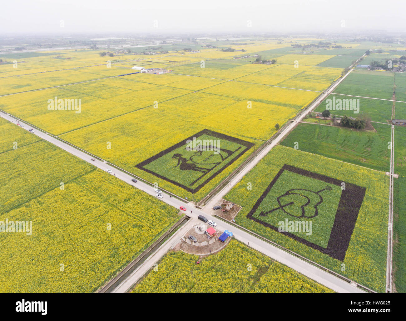 Chengdu, China. 21st Mar, 2017. Photo taken on March 21, 2017 shows the ...