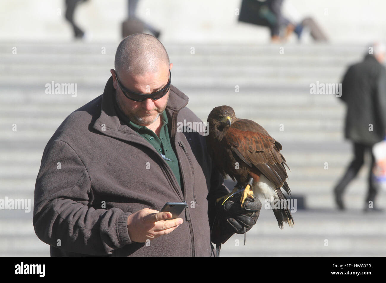 London, UK. 21st Mar, 2017. A Harris hawk handler in Trafalgar Square ...