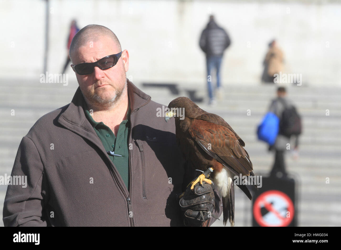 London, UK. 21st Mar, 2017. A Harris hawk handler in Trafalgar Square ...