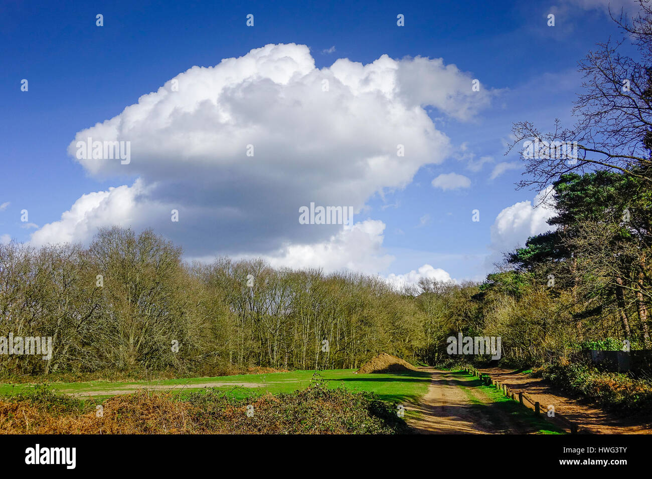 The pilgrims way england hi-res stock photography and images - Alamy