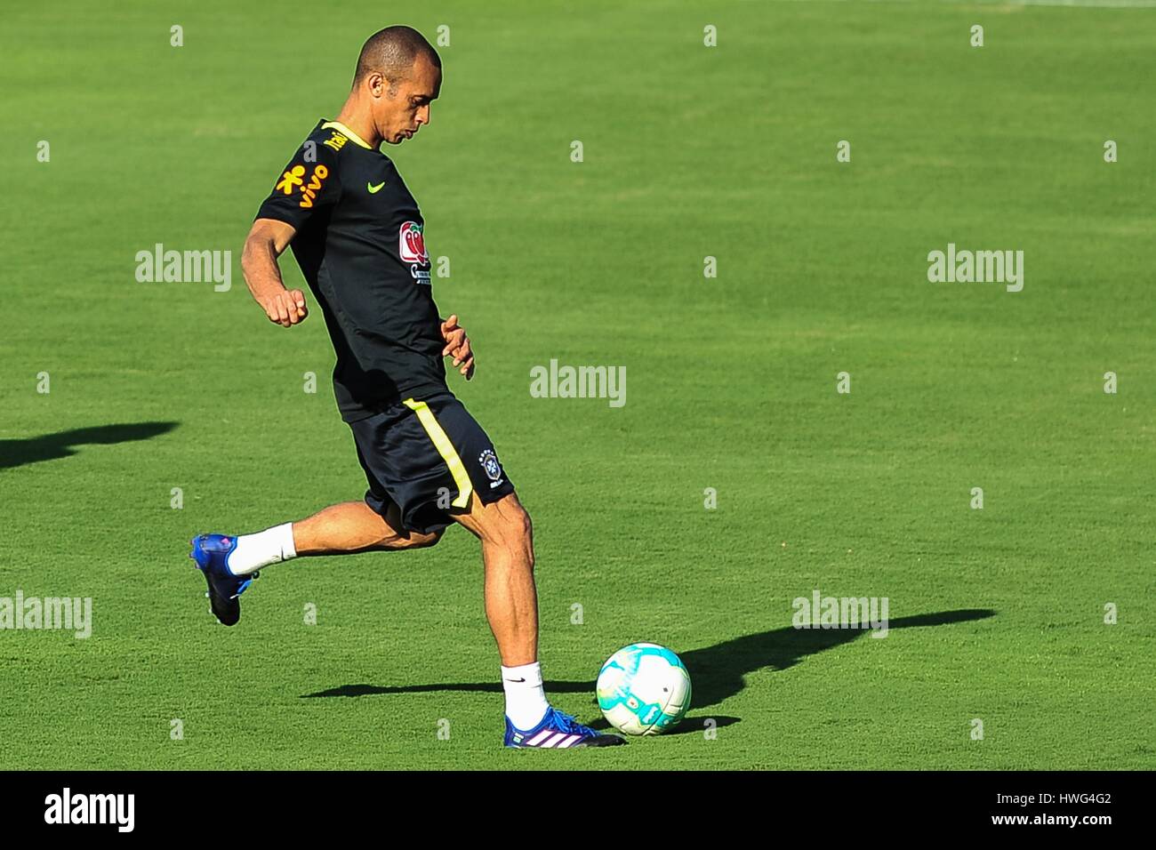 SÃO PAULO, SP - 21.03.2017: TREINO DA SELEÇÃO BRASILEIRA - Miranda ...