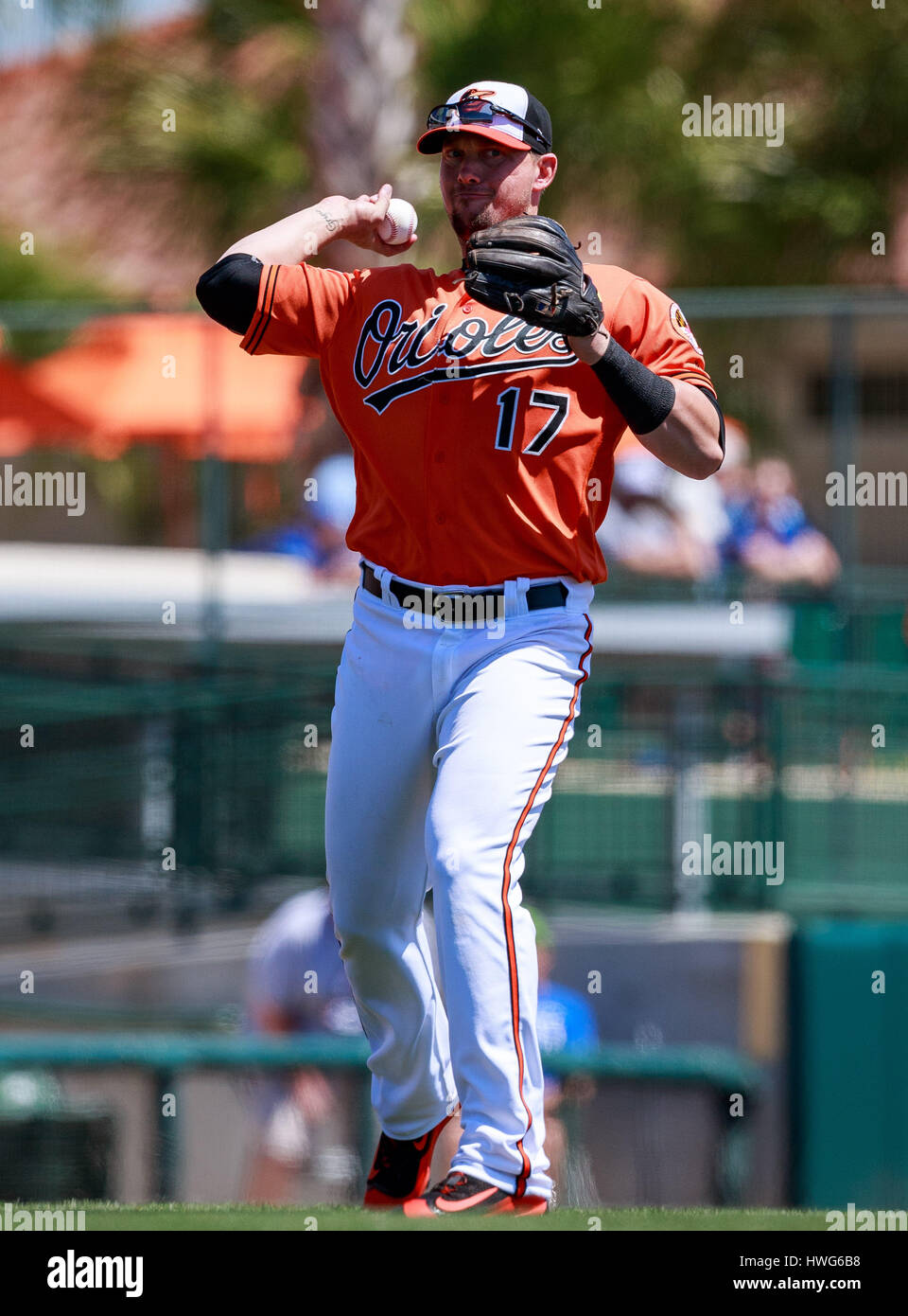 Ed smith stadium sarasota hi-res stock photography and images - Alamy