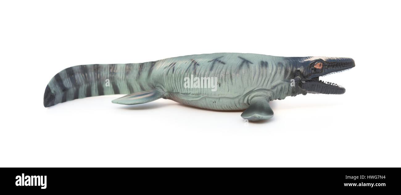 side view Mosasaurus toy with shadow on white background Stock Photo ...